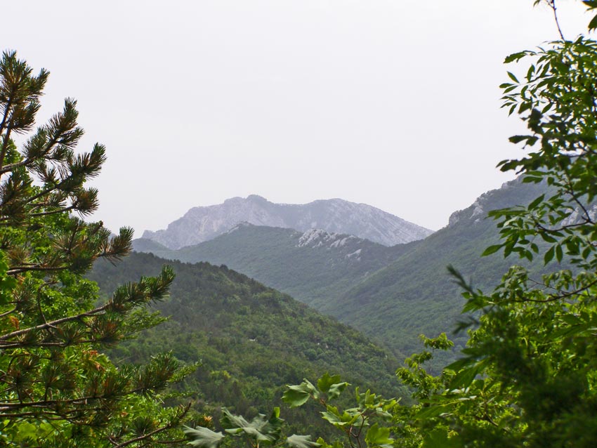 Crtice-hrvatske