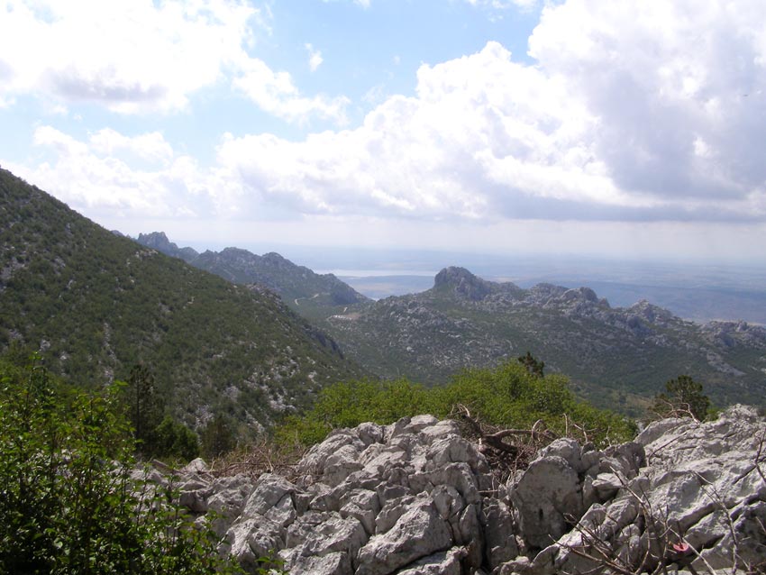 Crtice-hrvatske